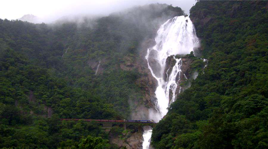 Best Places to Visit in Dooars | Popular Things to Do, Tourist Places ...