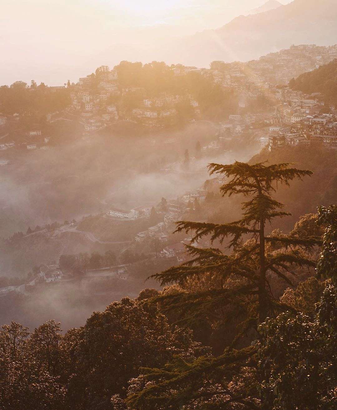 Dehradun | Best Time to Visit | Top Things to Do | Book Your Trip ...