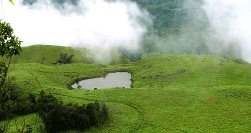 Wayanad | Best Time to Visit | Top Things to Do | Book Your Trip ...