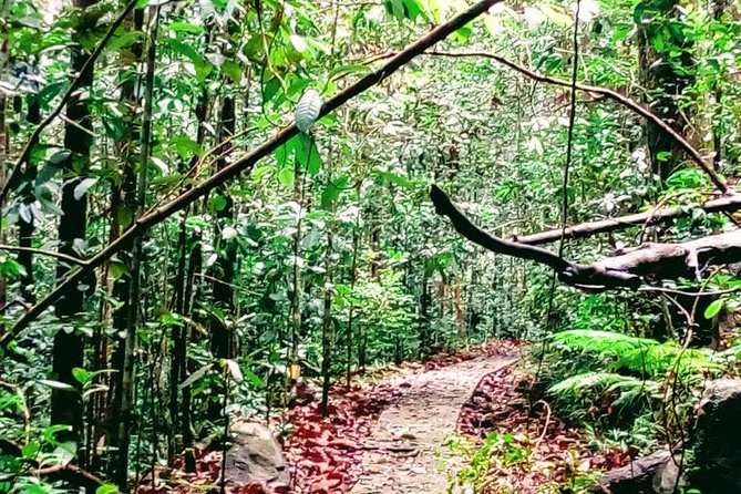 Places to Visit in Kottayam : Popular Places to Visit Near Kottayam ...