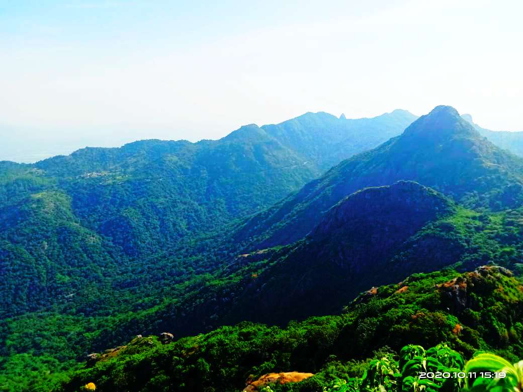 Mount Abu | Best Time to Visit | Top Things to Do | Book Your Trip ...