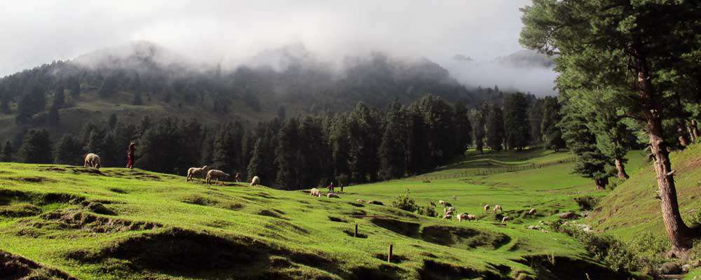 Pahalgam | Best Time to Visit | Top Things to Do | Book Your Trip ...